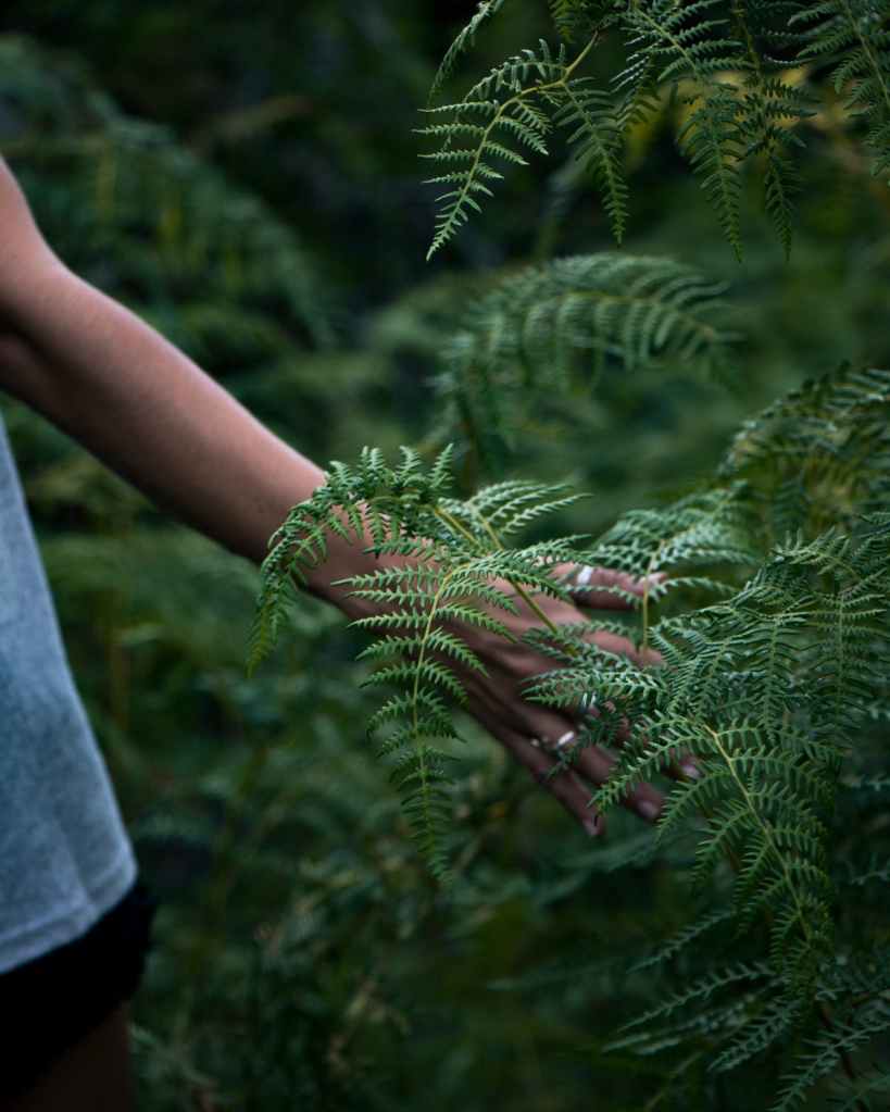 It's Time We All Embraced Forest Therapy - THE LIFESTYLE COLLECTIVE